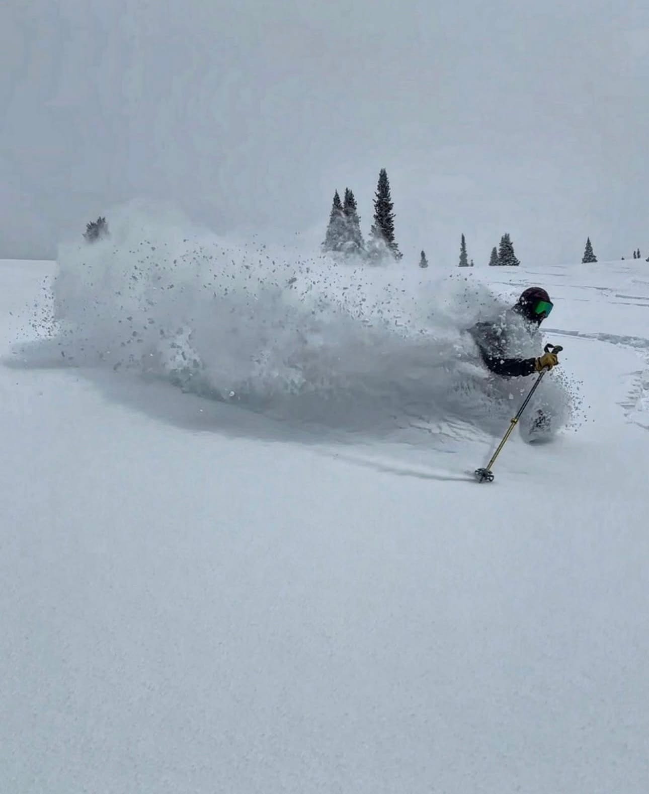 Dear Backcountry Skier